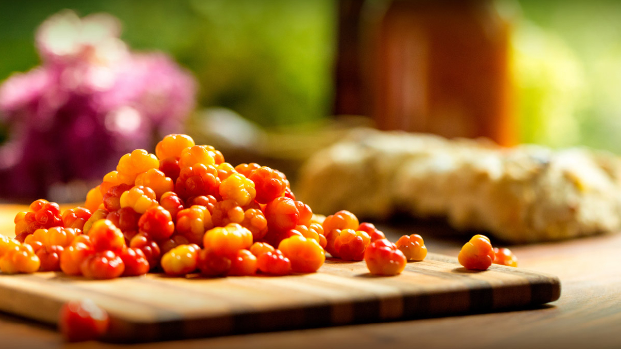 Food and Dining - Newfoundland and Labrador